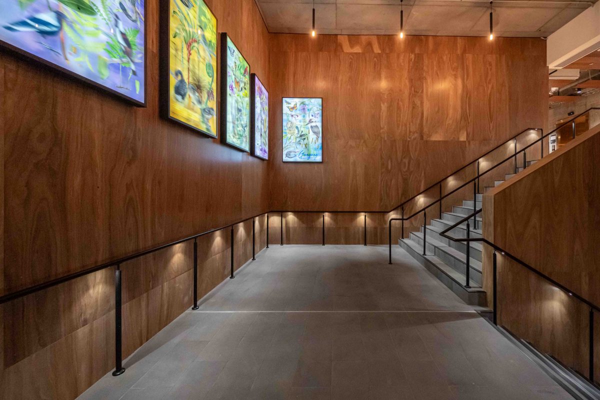 Big River - Plytech by Design- Elevating Public Architecture: The ...