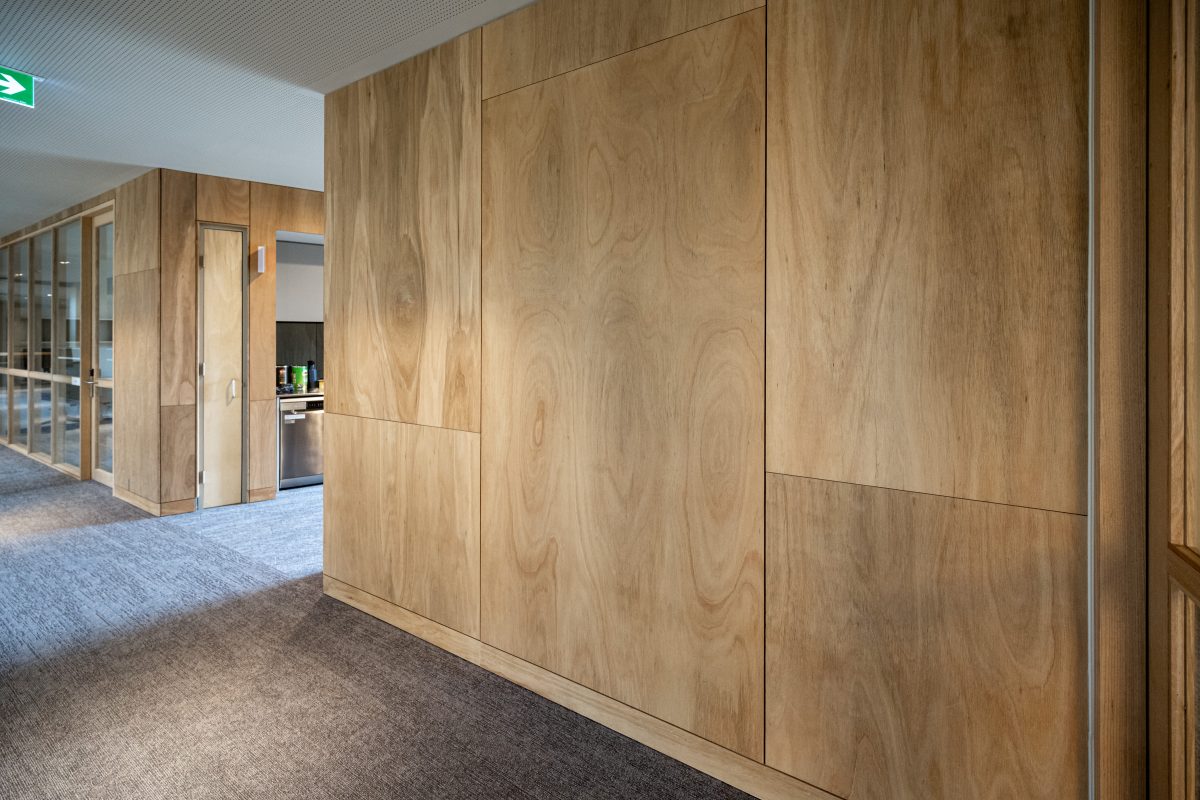 Big River - Plytech by Design- Elevating Public Architecture: The ...